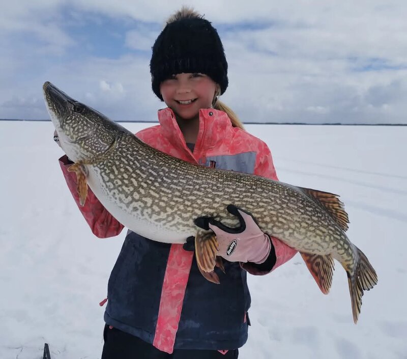 Young angler reels in top honours with massive fish - DiscoverHumboldt ...