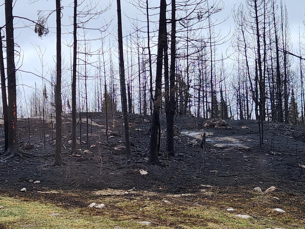 Bird River fire update from fire chief - SteinbachOnline.com - Local ...