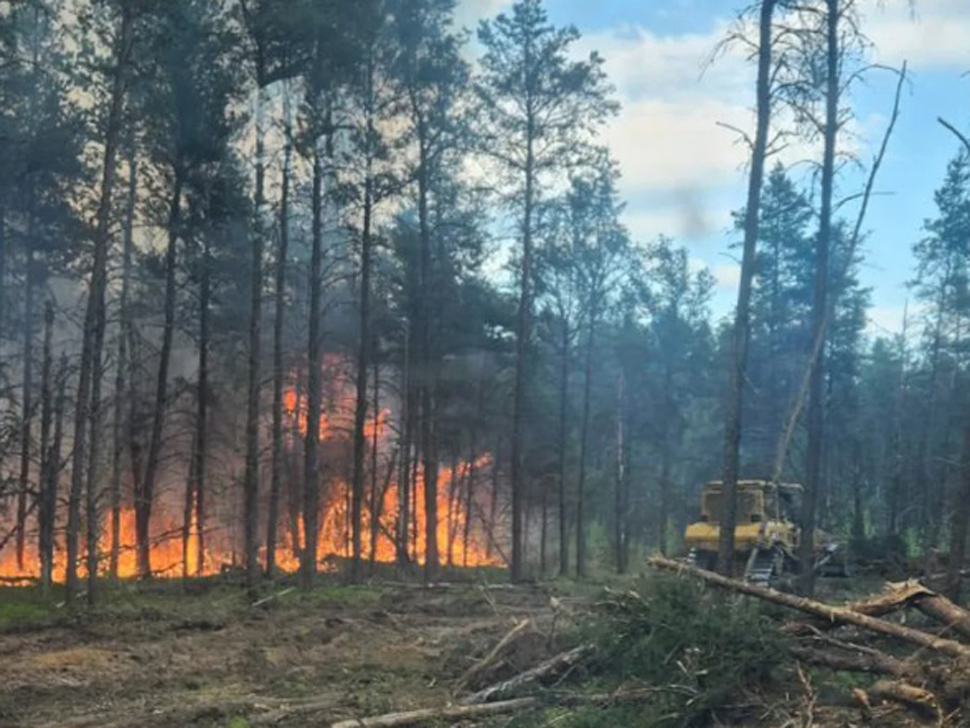 Fire Bulletin #12 - 12 active wildfires across the province, a total of 87 wildfires to date ...