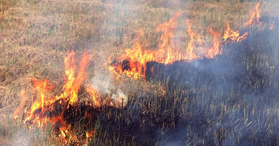 Update: Wildland grass fire in Rocky View County draws multi-agency ...