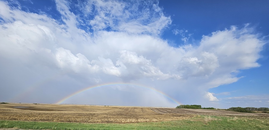 Warm weather on the horizon as rain clouds linger - WestCentralOnline ...