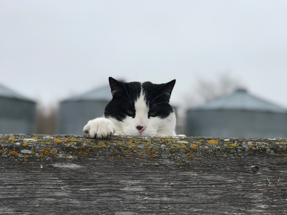 Lauder photographer captures winning photo of stormy September evening ...