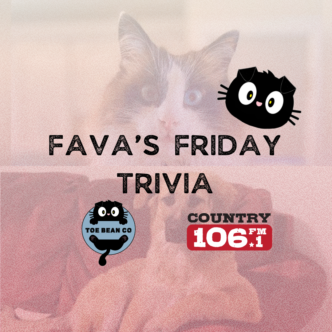 Fava's Friday Trivia - DiscoverEstevan.com - Local news, Weather ...
