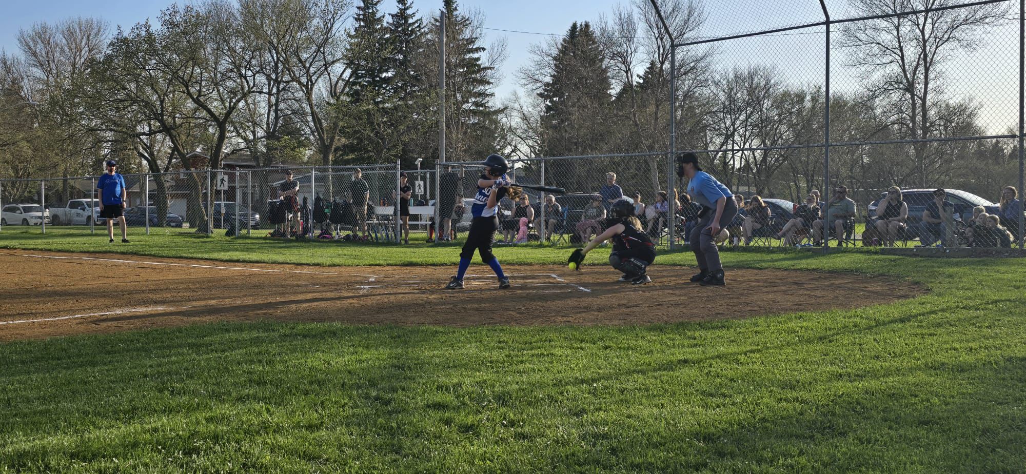 The future of Altona softball, not a hard sell for sponsors of the ...