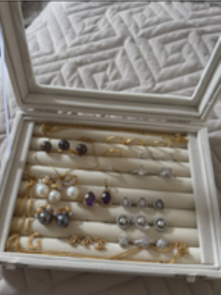 Humboldt/Lanigan RCMP seeking information about stolen jewellery ...