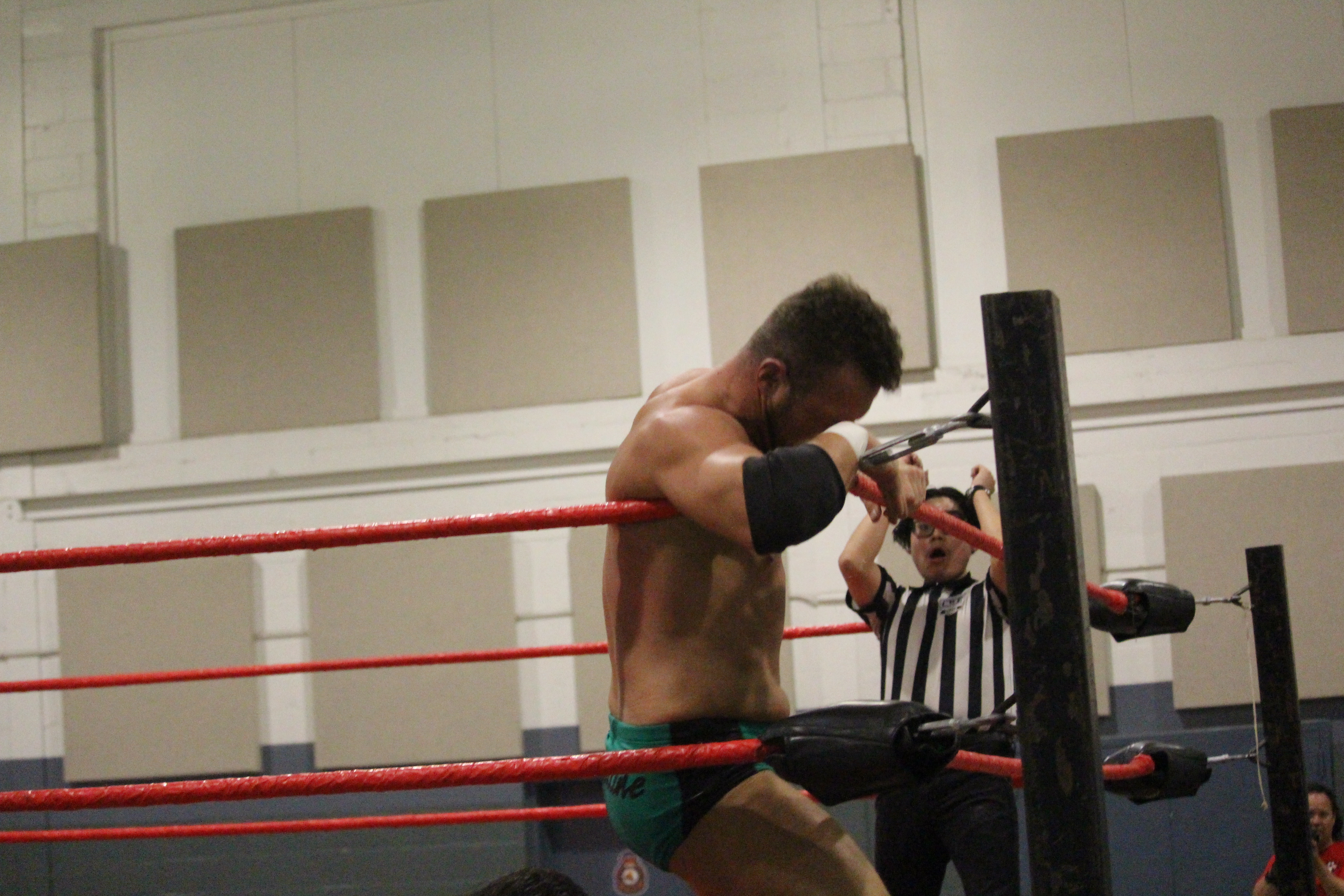 Canadian Wrestling's Elite brings former world champion to Swift ...