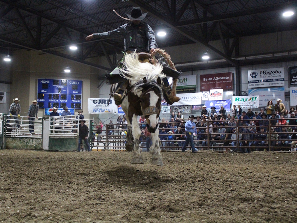 Saddles, Spurs, and Saturday Night Thrills: Killarney Goes Full Rodeo ...
