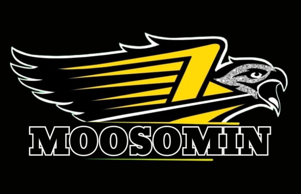Moosomin welcomes PJHL expansion team, the Steelhawks - DiscoverEstevan ...