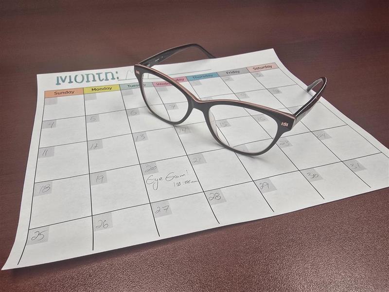 Federal government tables Canada's first national strategy for eye care ...