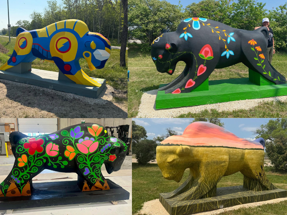 A herd of hope: Bison art installation supports young Manitobans ...