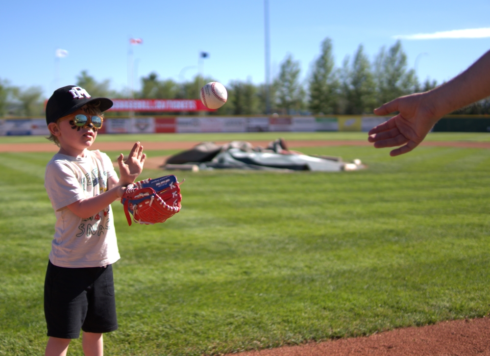 Gallery: Okotoks Dawgs welcome fans back to Seaman Stadium ahead of ...