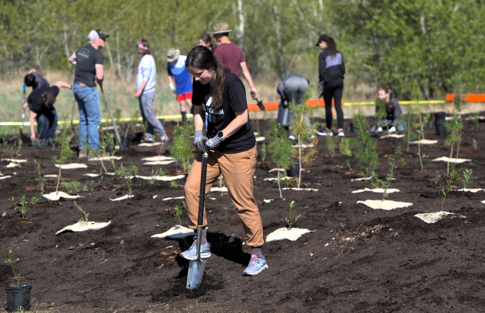 Perfect start to two-day community tree planting - CochraneNow ...