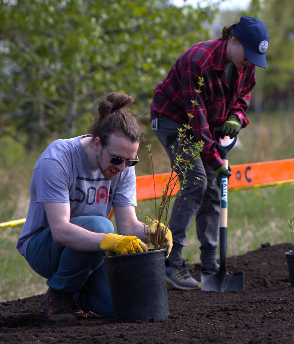 Perfect start to two-day community tree planting - CochraneNow ...
