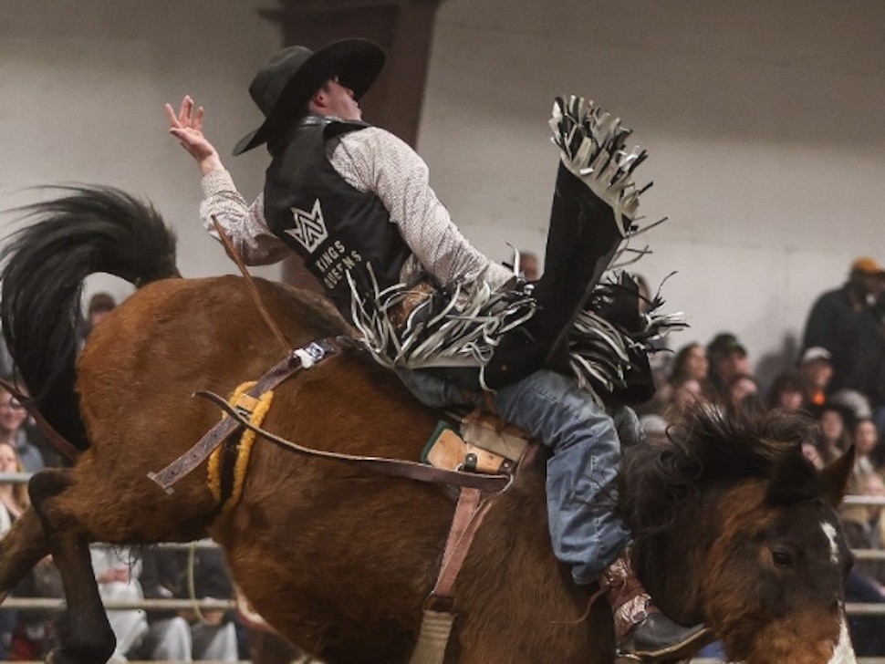 Royalty takes on the rodeo - CentralAlbertaOnline.com - Local news ...