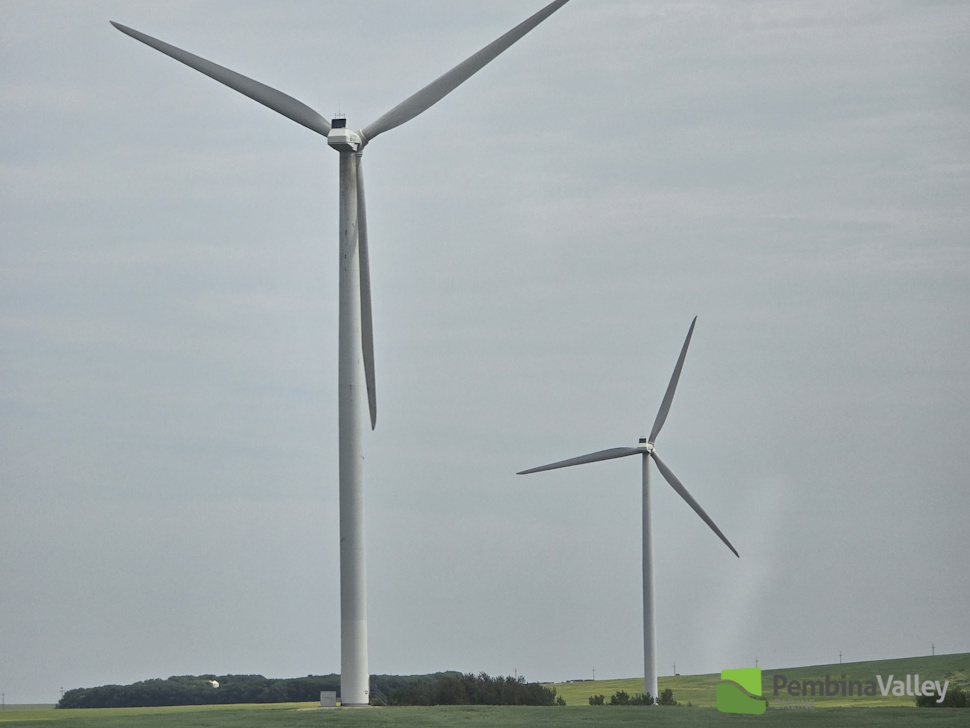 Bats and wind turbines: A troubling combination - PembinaValleyOnline ...