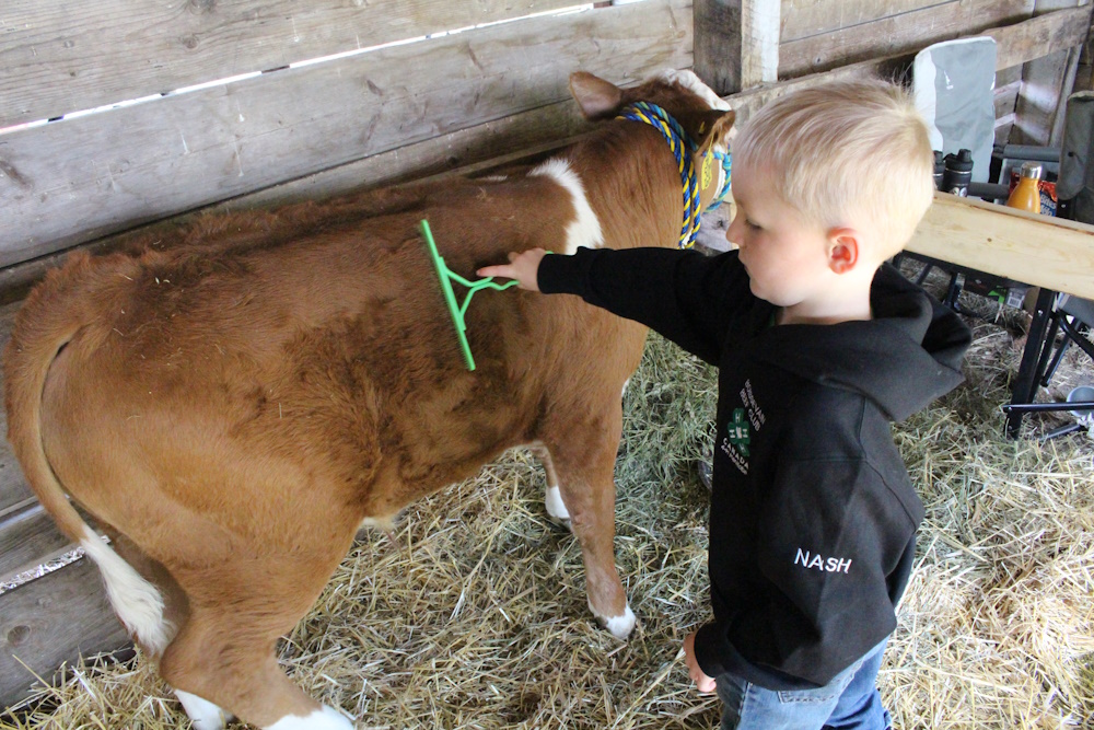 Rally Day Returns: 4H Spirit shines bright in Boissevain this Friday ...