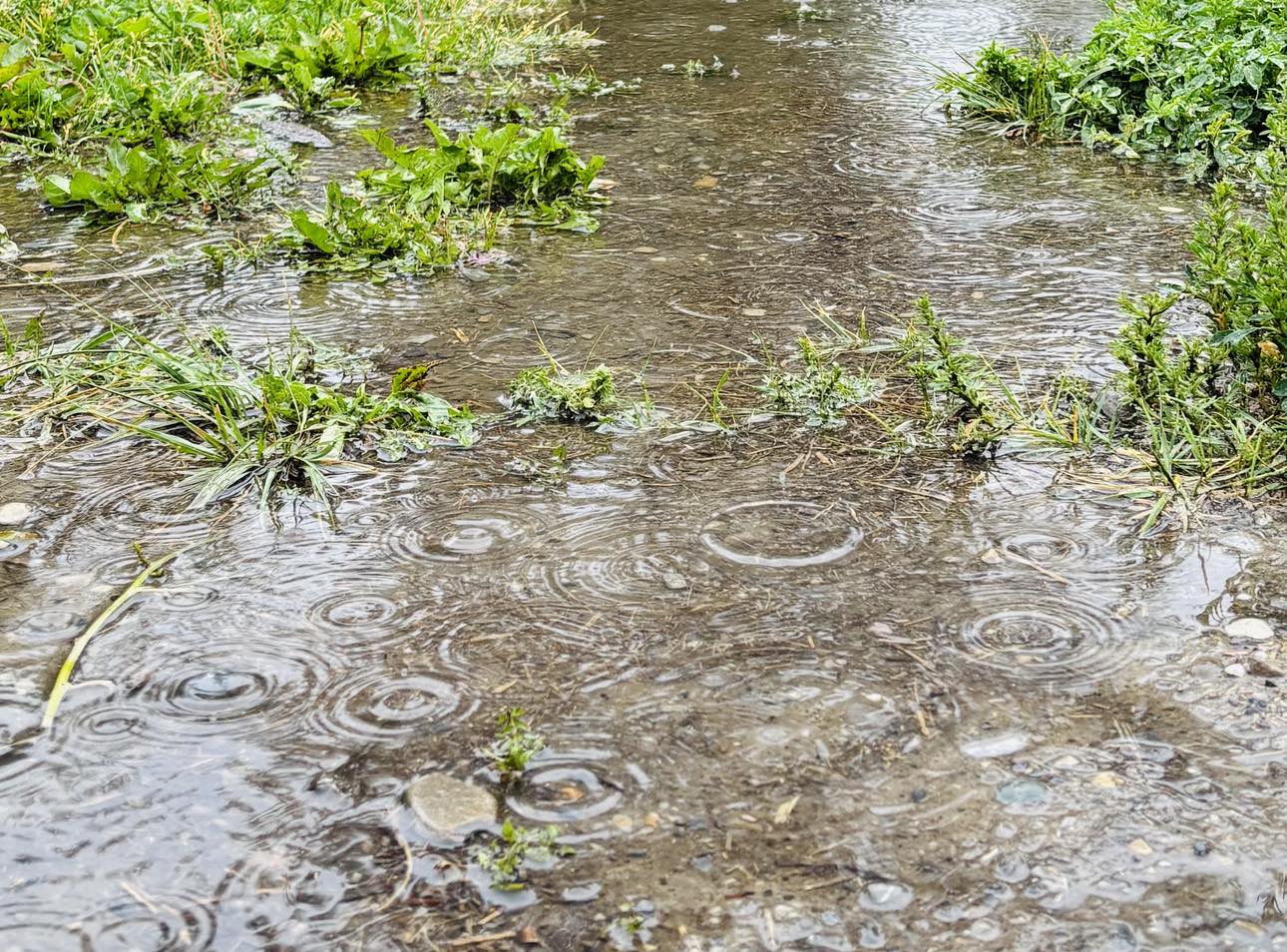 How much rain fell during the weekend around Airdrie? Here’s what ...
