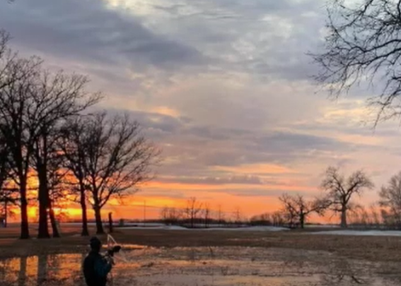 'Here You Are Singing' interrogates experiences of home and migration ...