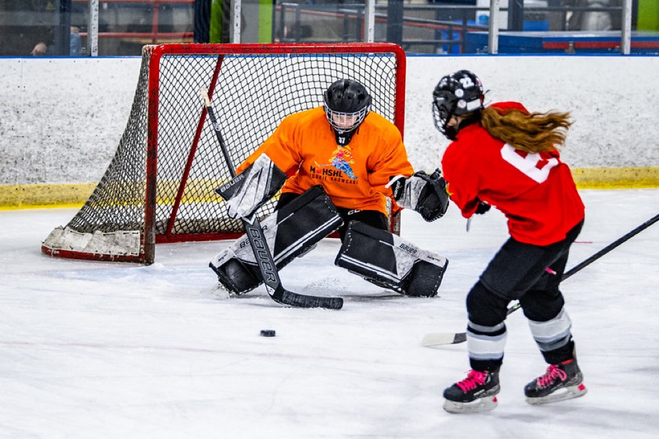 Local communities partner to bring new team to Winnipeg Women's High ...