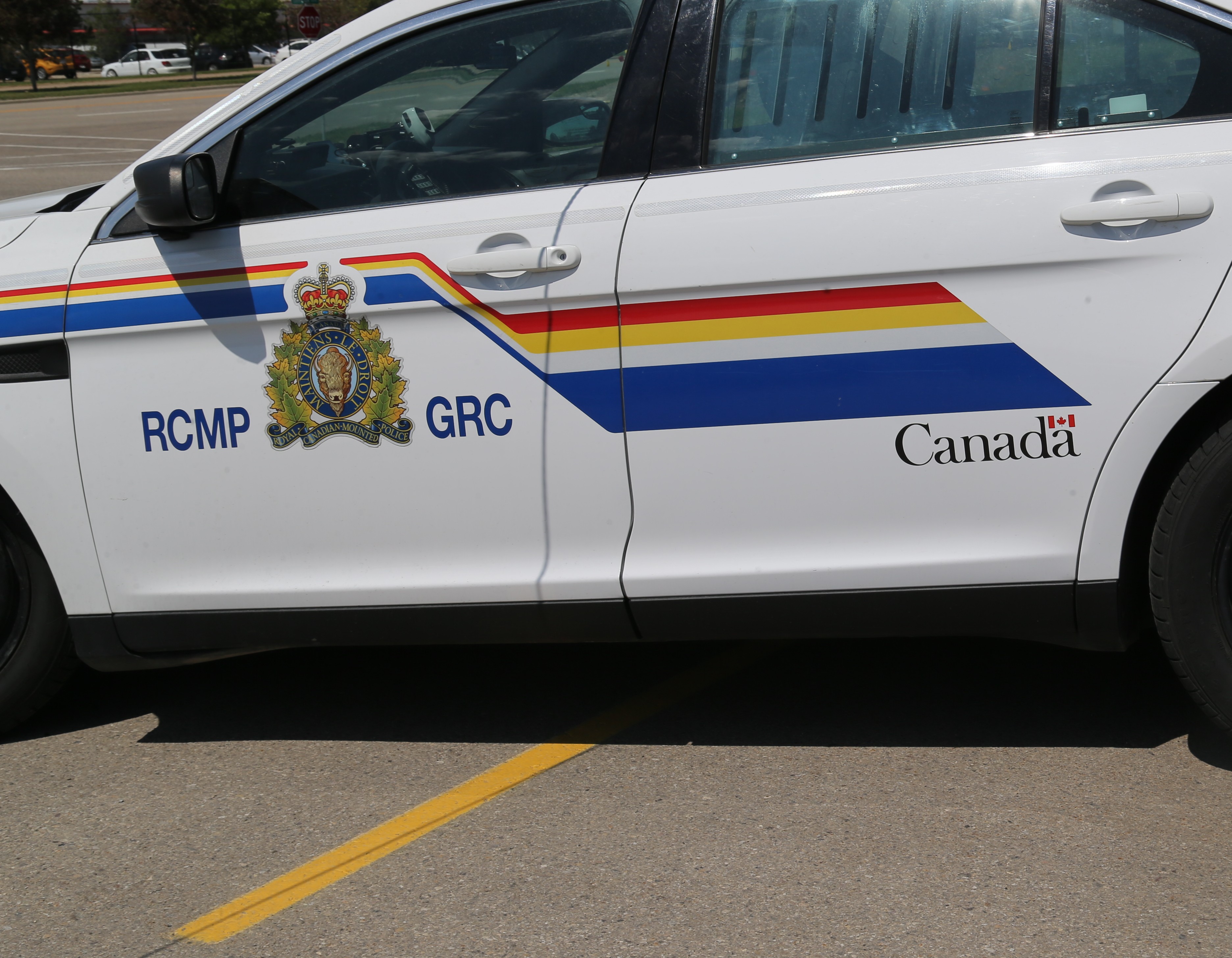 UPDATE: Carlyle RCMP issue charge of assault in case on White Bear ...
