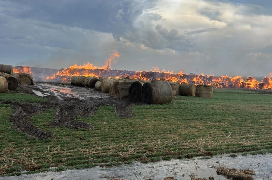 Lightning fueled fires claim bales around Macklin - WestCentralOnline ...