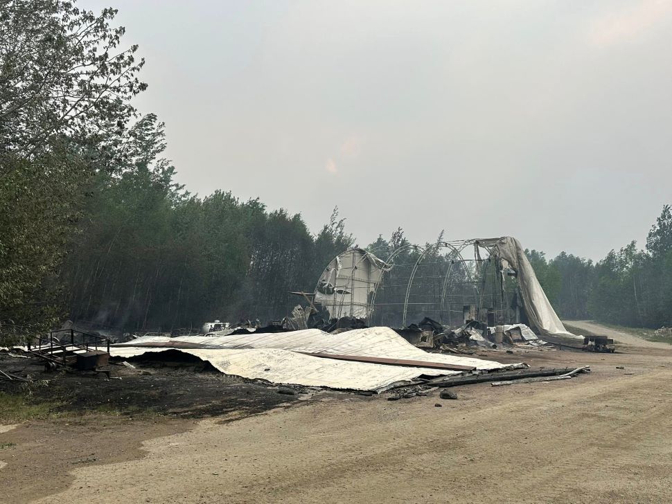 Upwards of 7,000 more people flee Saskatchewan wildfires, says Premier ...