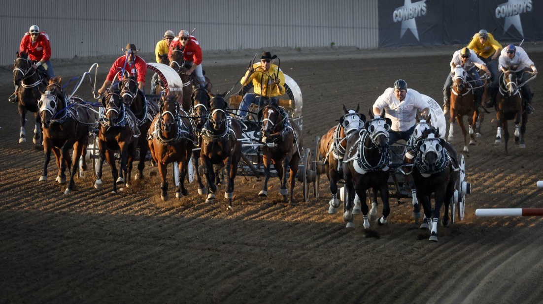 Calgary Stampede rodeo safety to include shaded pens, heart monitors ...