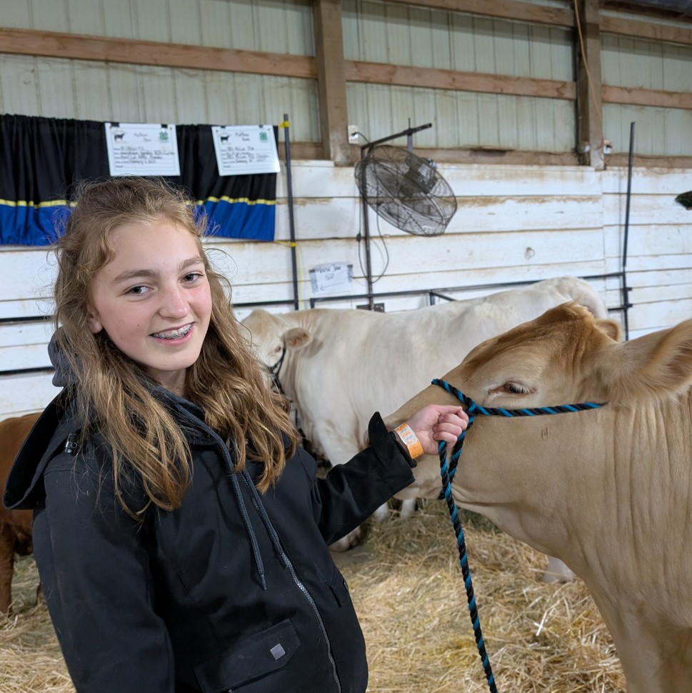 Hard-working youth show off months of effort at 4-H cattle show ...