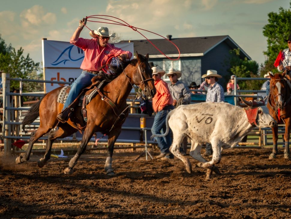Photo gallery: midway, rodeo and more at Energy City Ex 2025 ...