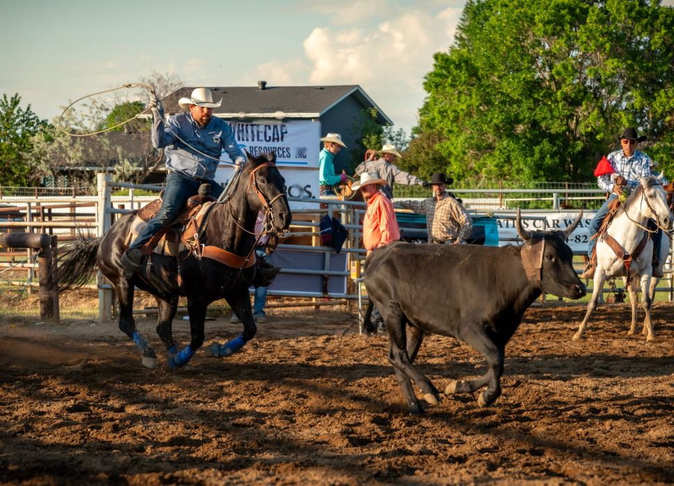 Photo gallery: midway, rodeo and more at Energy City Ex 2025 ...