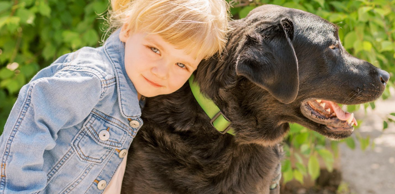 Furry Fun Fest set to unleash tail-wagging fun - CochraneNow: Cochrane ...