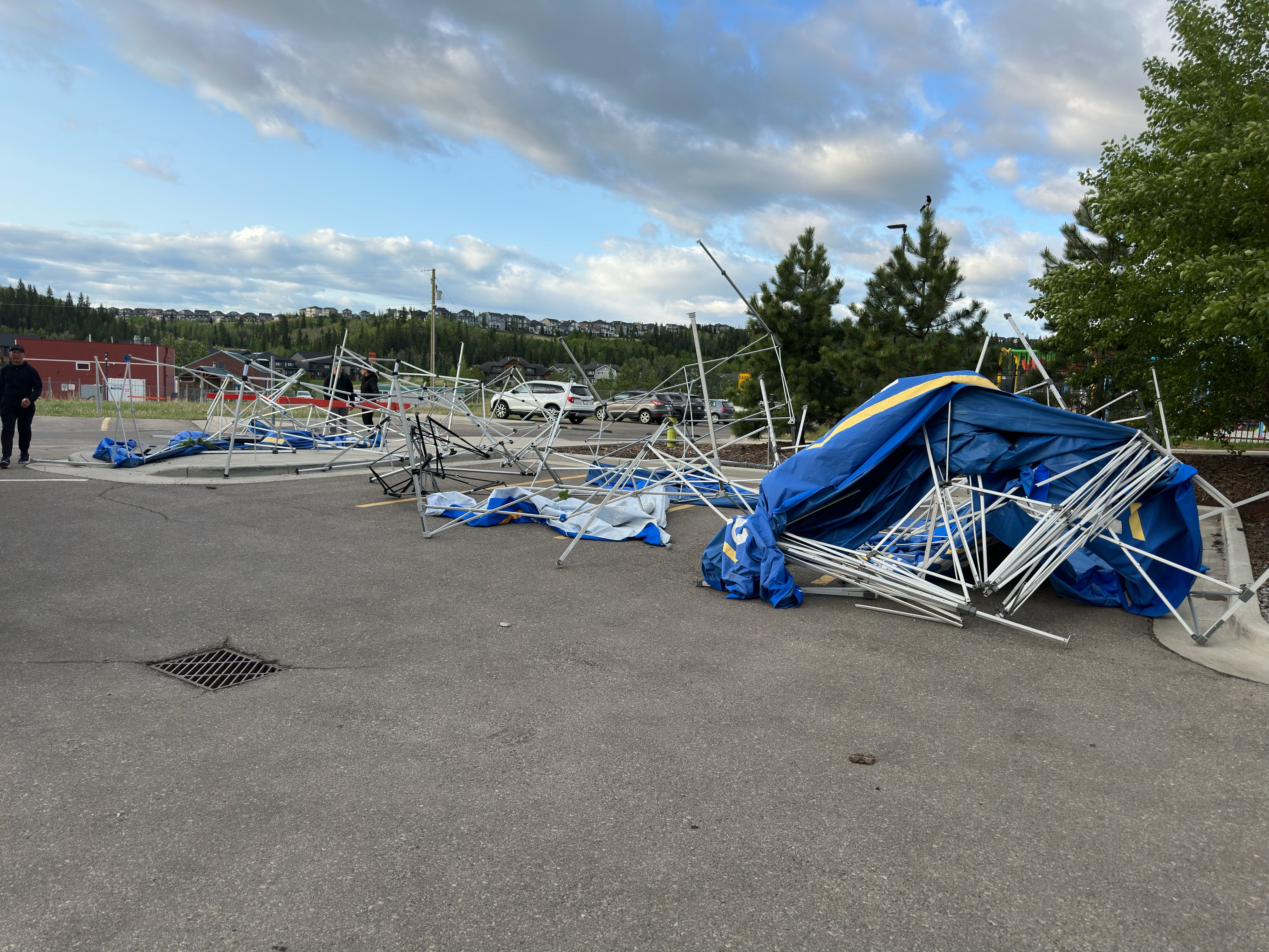 Windstorm forces last-minute Footstock cancellation - CochraneNow ...