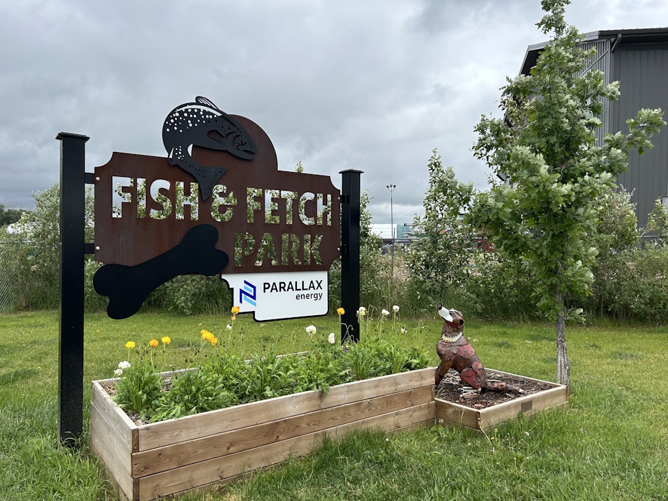 Pet health concerns prompt action at Lacombe Dog Park ...
