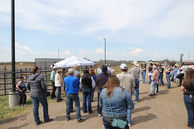 LFCE Summer Field Day set to go June 16 - SwiftCurrentOnline.com ...
