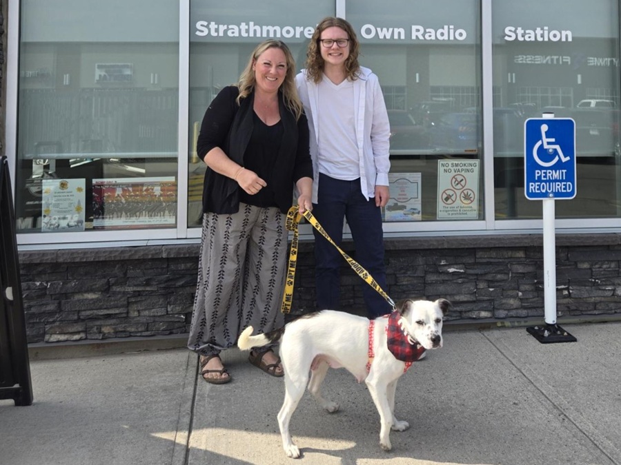 Rescued Paws gives stray dogs new leash on life - StrathmoreNow.com - Local news, Weather ...