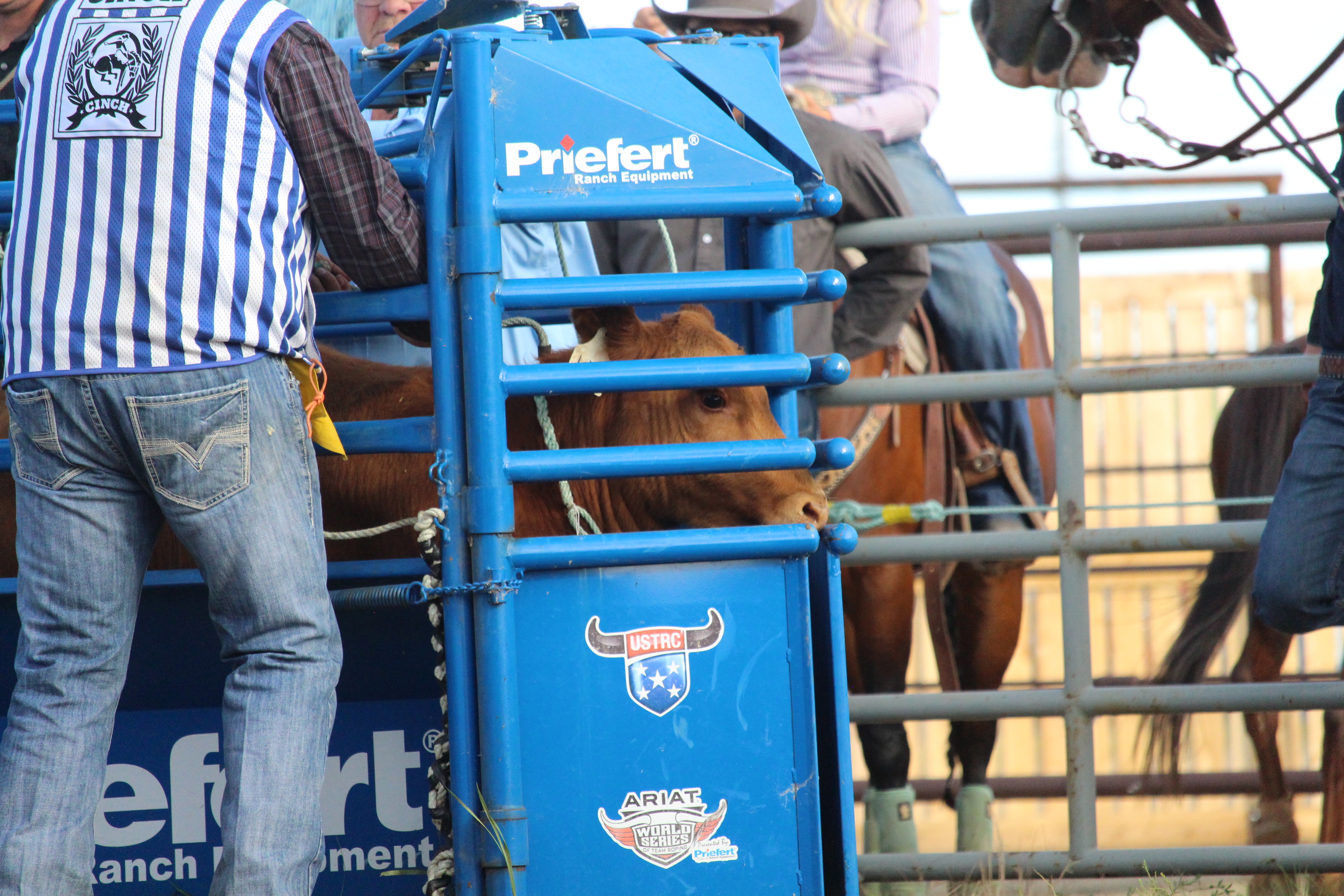 Duo of locals wrangle first place at CCA Rodeo - SwiftCurrentOnline.com ...