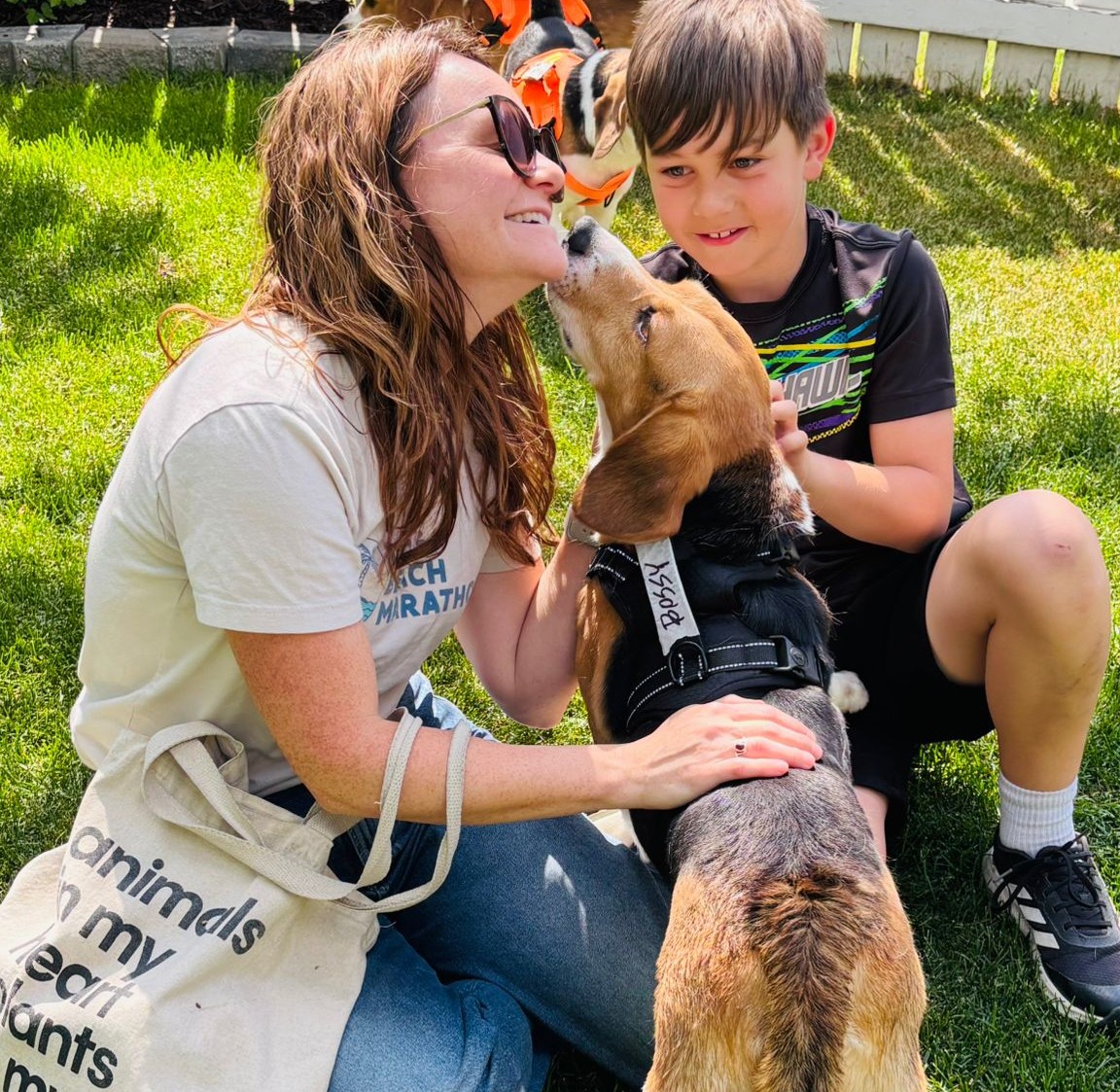 Airdrie yard becomes gateway to freedom for 14 rescued beagles ...