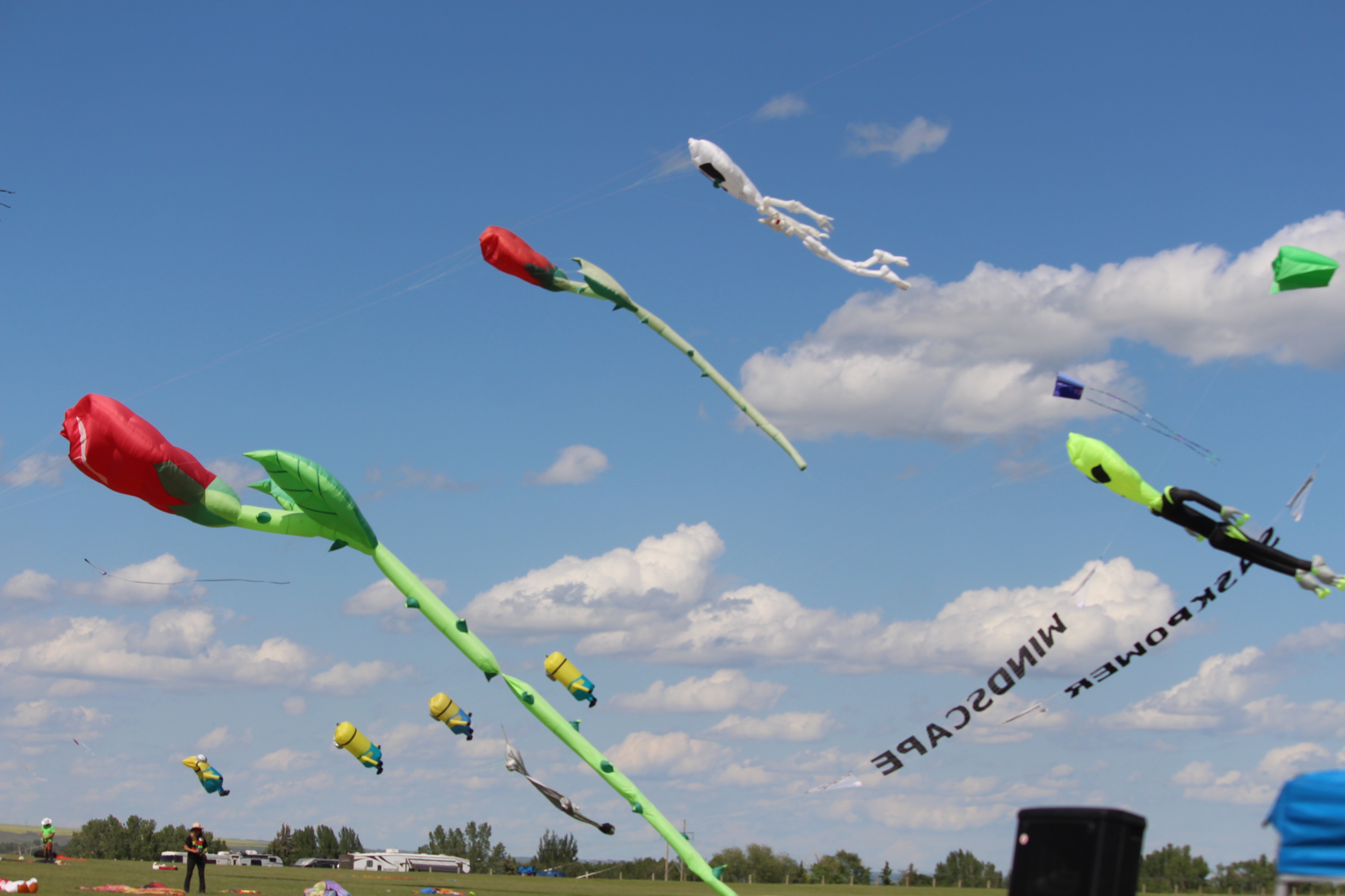 Windcape Kite Festival puts out call for needed volunteers ...