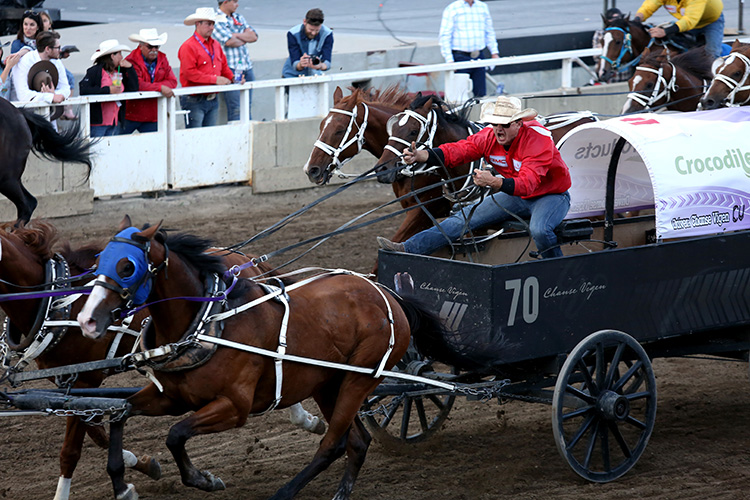 Calgary's Chanse Vigen takes Medicine Hat's Chuckwagon title for second ...