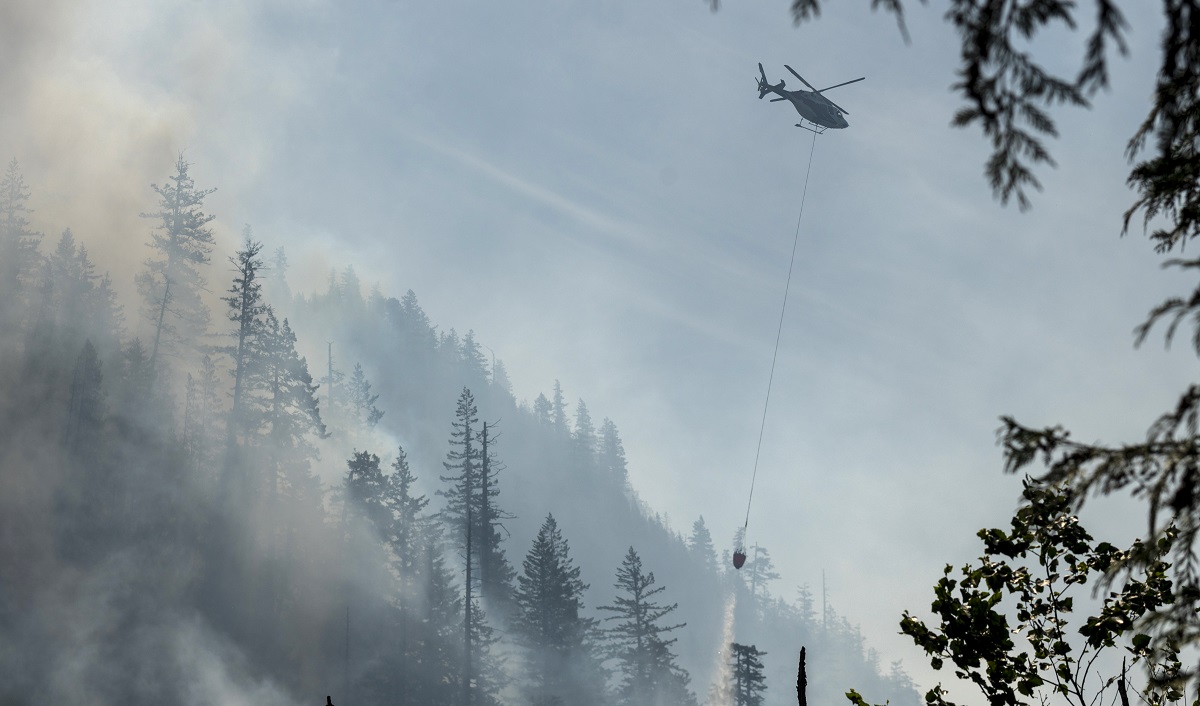 The 2025 wildfire season is on track to be Canada's 2nd-worst on record ...