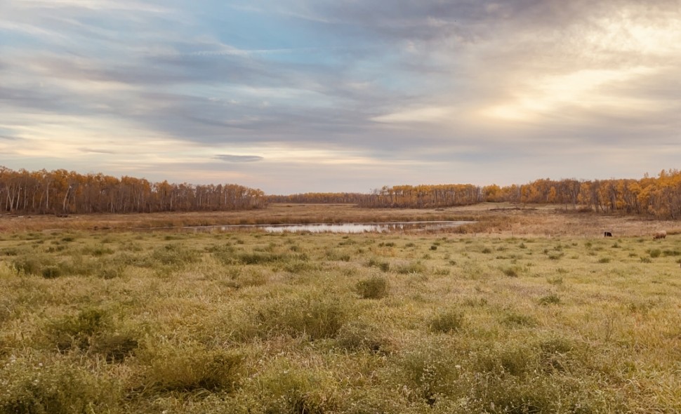 4R’s of Fertilizing Forages - DiscoverHumboldt.com - Local news ...