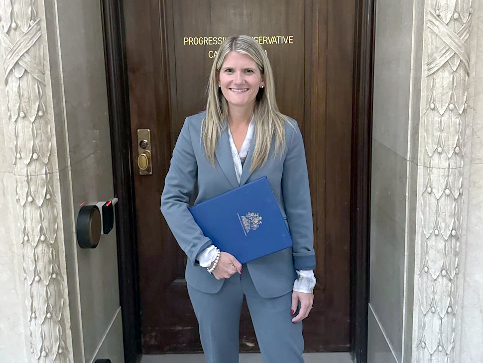 PC finance critic says NDP throne speech falls short ...