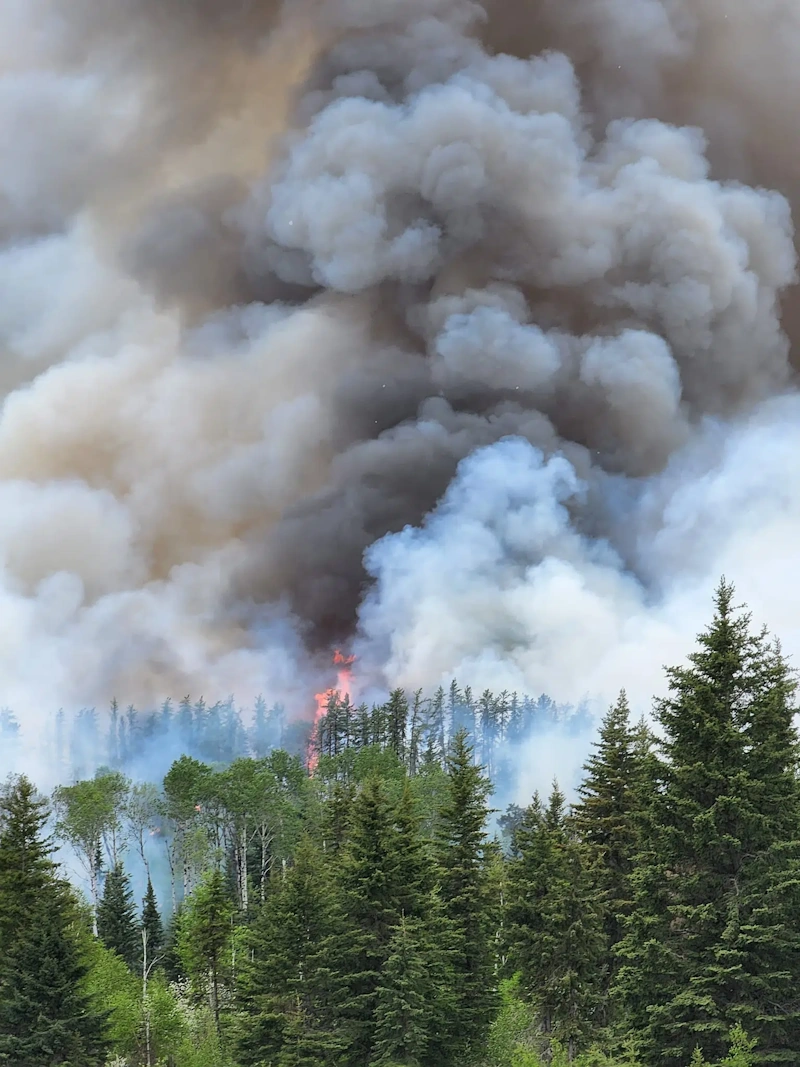 SPSA update indicates precipitation has helped tackle the Shoe Fire ...