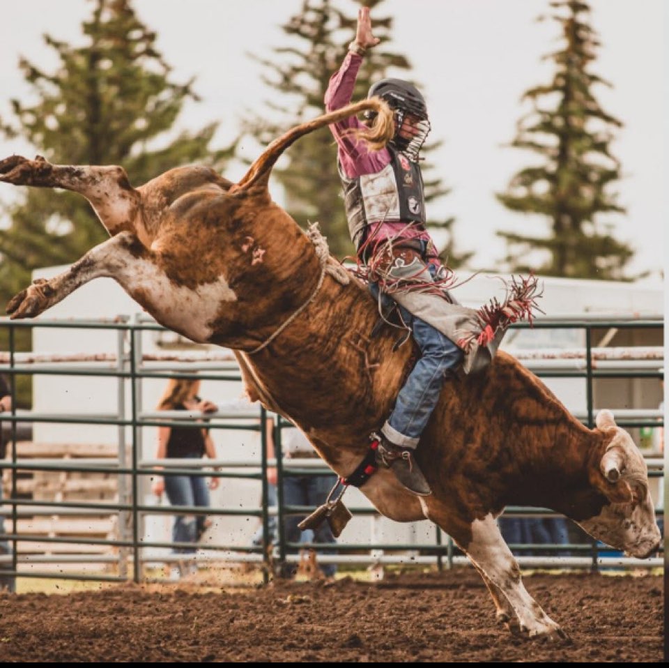 Born to bull ride, Jett Lockie living the rodeo dream - DiscoverWestman.com - Local news ...