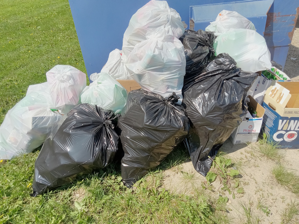 Next Chapter Animal Rescue turns donations Into funds for animal care ...