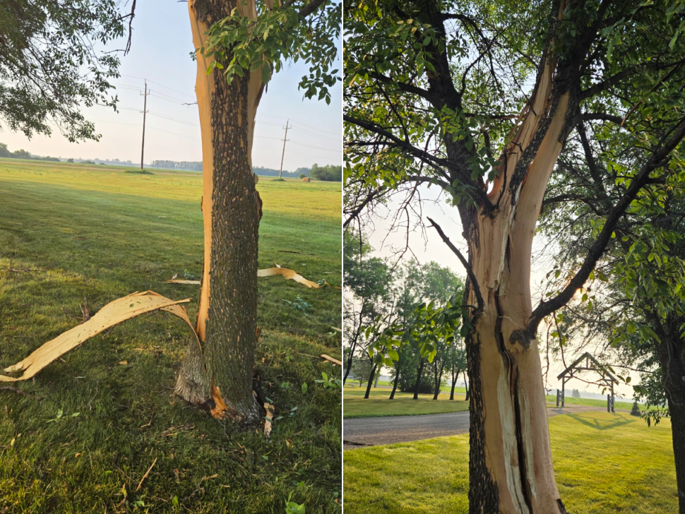 “I literally almost fell off my chair”: Lightning hits close to home ...