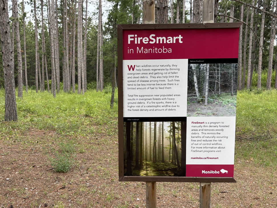 More wildfires ignite in Manitoba, with most of province experiencing ...