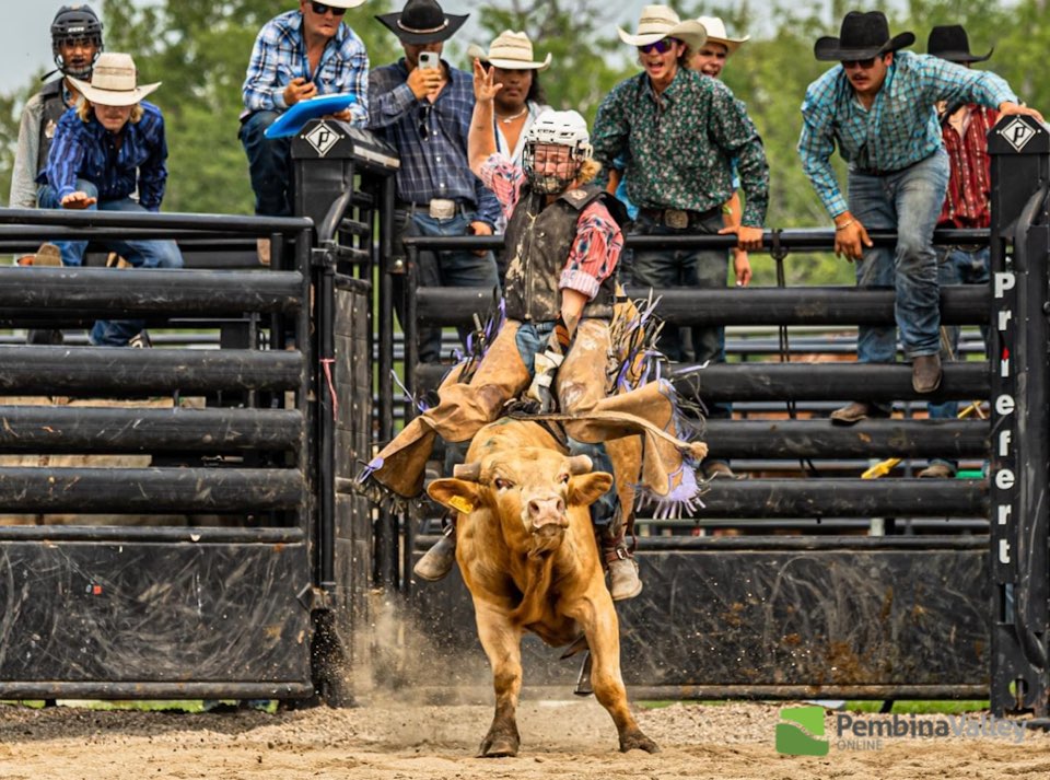 Winkler's Aidan Harder on way to being next bull riding star ...