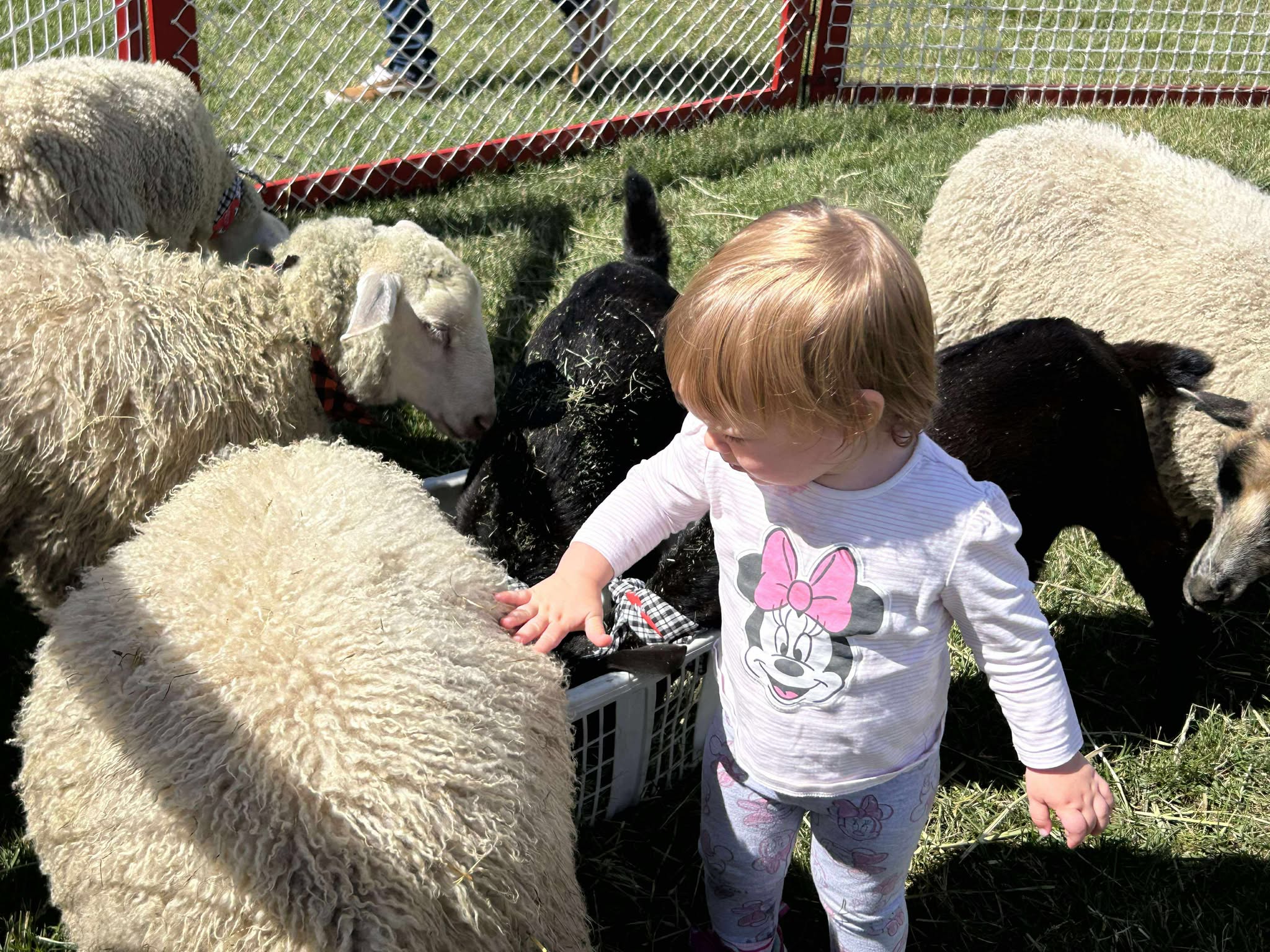 Residents’ Day brings fun to Rocky View County - DiscoverAirdrie.com ...