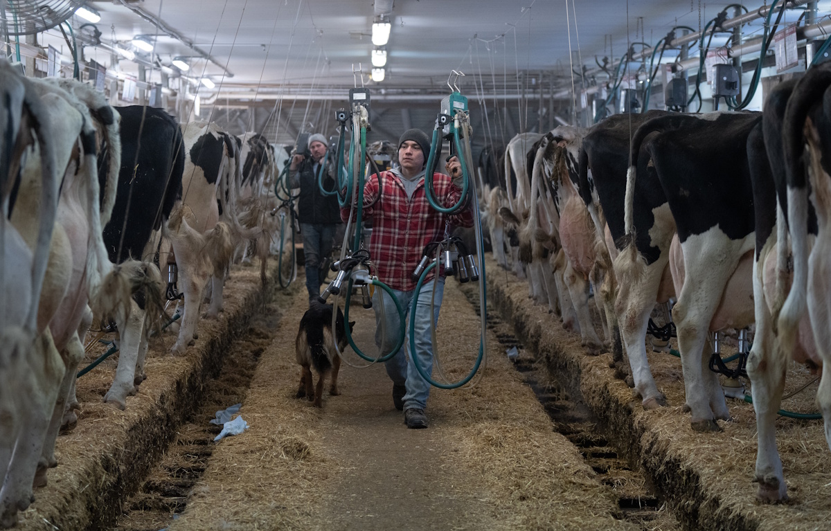 New supply management law won't save the system from Trump, experts say ...